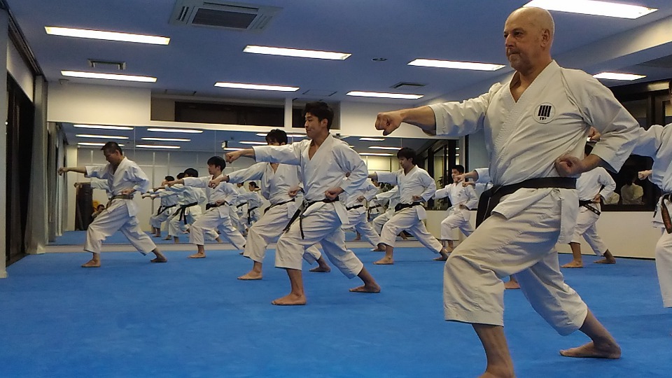 Learn self-defense and kicking with a real karate experience ...