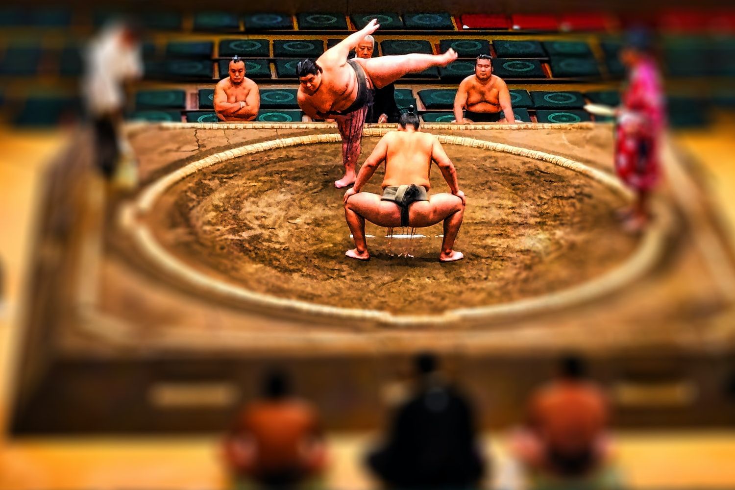 Explaining Sumo in English | Reasons for its Popularity and Special ...