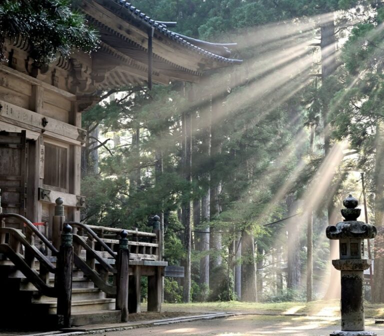 Japanese Customs: Unique Rules and How to Explain Them in English ...
