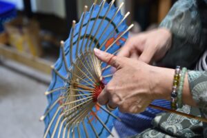 VVIP Meaning: Full Form and Difference from VIP | Luxury japan DMC ...