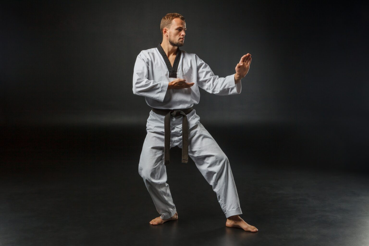 The History of Karate | The Origins and Global Expansion of Karate ...