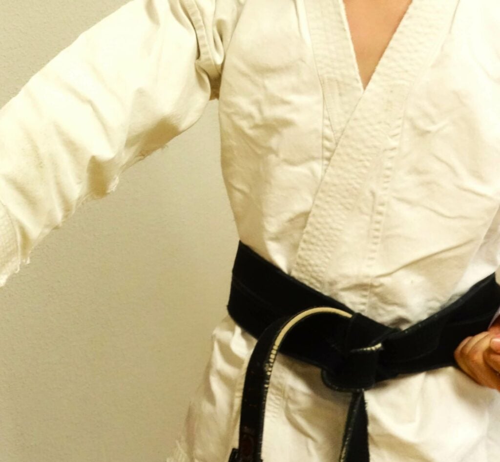 What are Karate Styles? The four major karate styles and their history ...