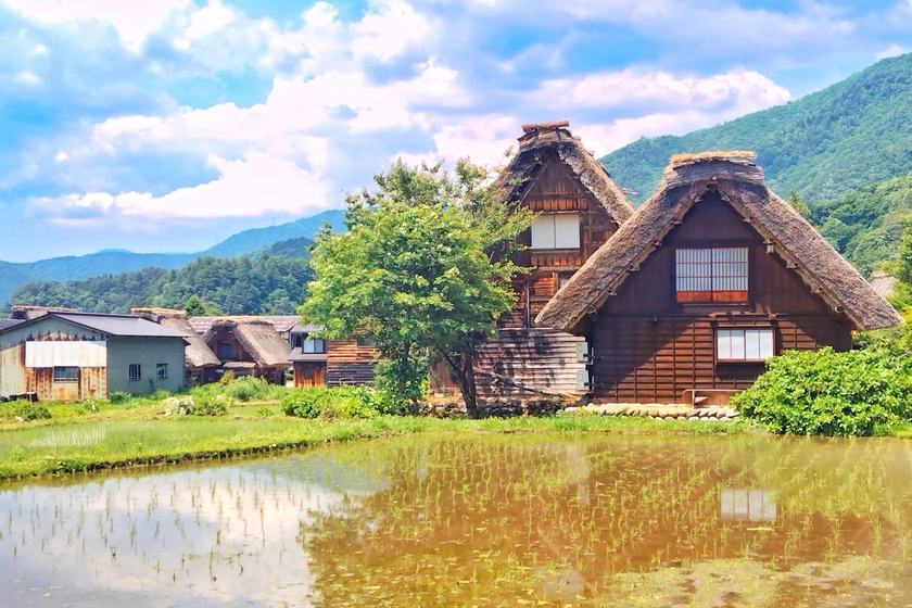 The Ultimate Guide: Top 8 Traditional Japanese Villages to Visit ...