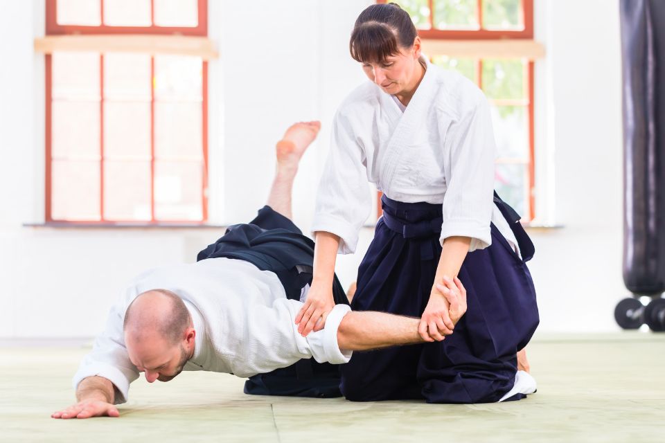 Karate Experience: Discover the Spirit and Techniques of Karate ...