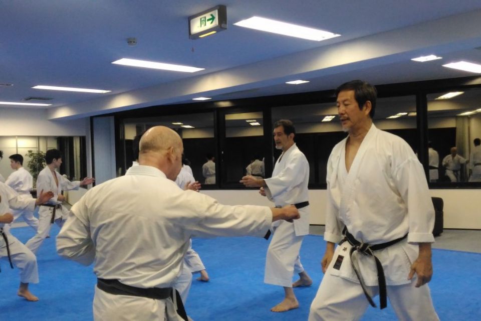 Karate Experience: Discover the Spirit and Techniques of Karate ...