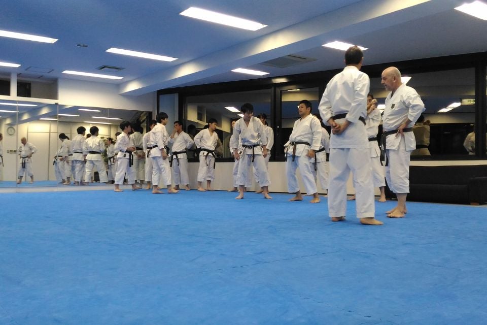 Karate Experience: Discover the Spirit and Techniques of Karate ...
