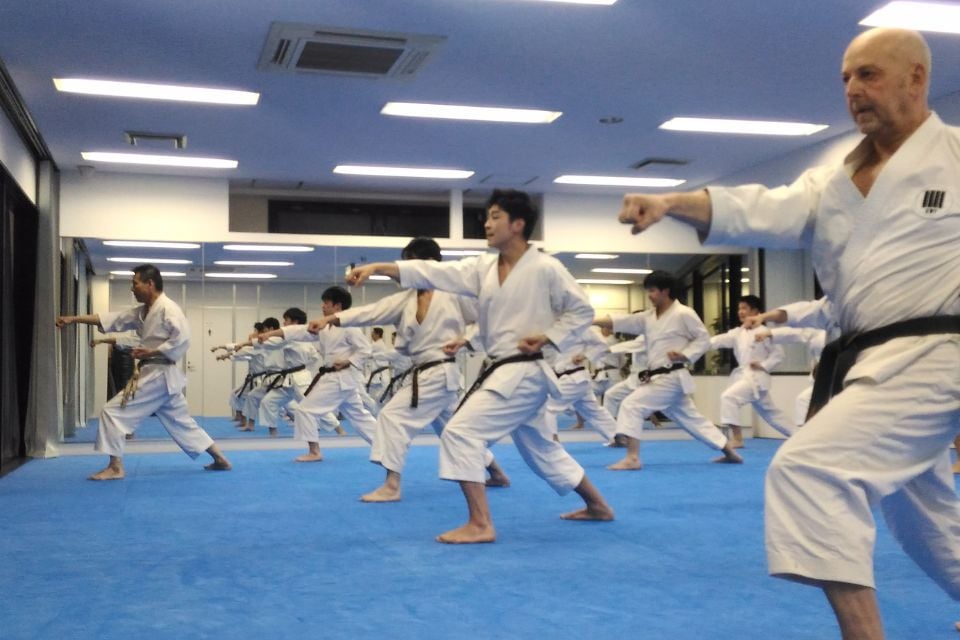 Karate Experience: Discover the Spirit and Techniques of Karate ...