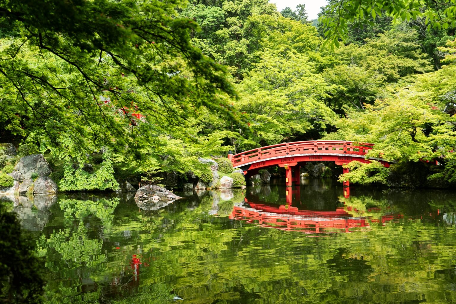 Exploring the Best Japanese Botanical Gardens: Hidden Gems and Seasonal ...