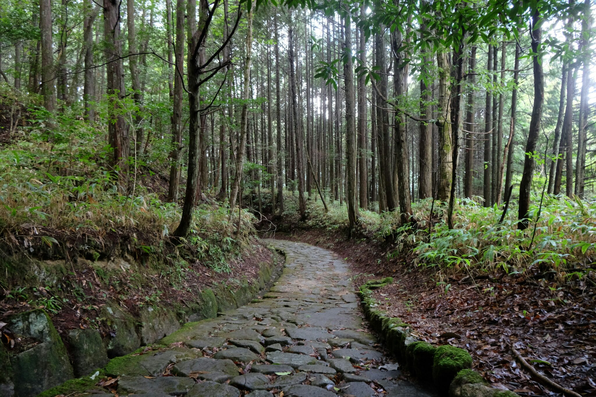 Exploring the Nakasendo Trail: Japan’s Historic Hiking Route Through ...