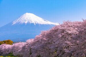 When Is the Best Time to Visit Japan? A Month-by-Month Travel Guide ...