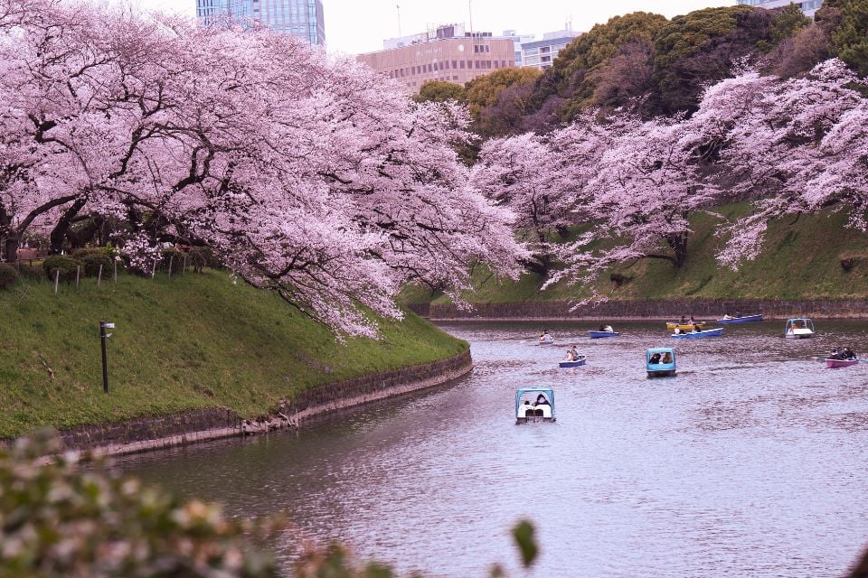 When Is the Best Time to Visit Japan? A Month-by-Month Travel Guide ...