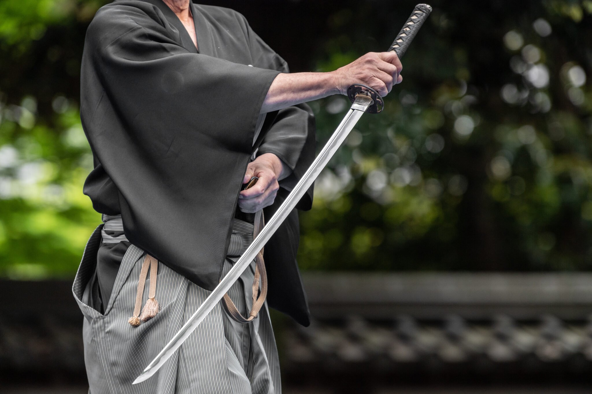 [Complete List of Samurai Sayings! Includes meanings, example sentences ...
