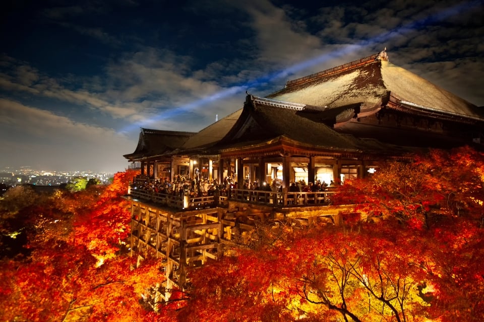 Sumo Experience for Foreigners in Kyoto | Luxury japan DMC - MOTENAS JAPAN