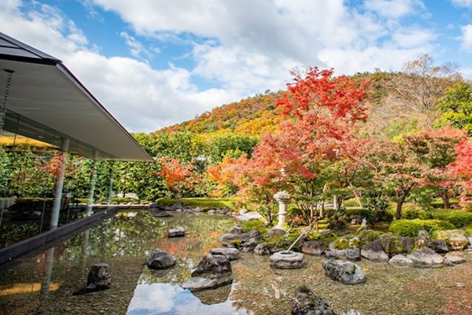 Sumo Experience for Foreigners in Kyoto | Luxury japan DMC - MOTENAS JAPAN