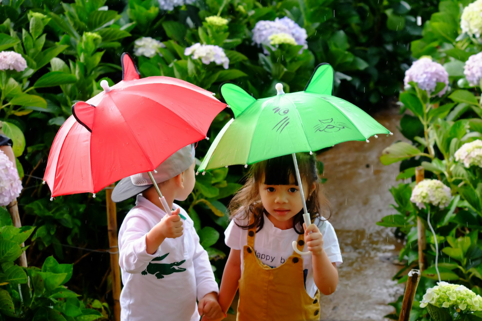 [2025 Edition] Discover the Best Rainy Season Activities in Japan ...