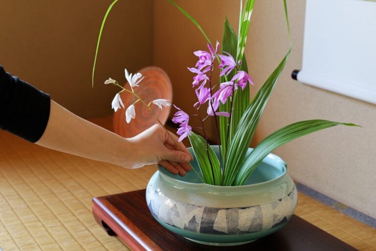 What Is Kado? A Simple Guide to Japan’s Way of Flowers | Luxury japan ...