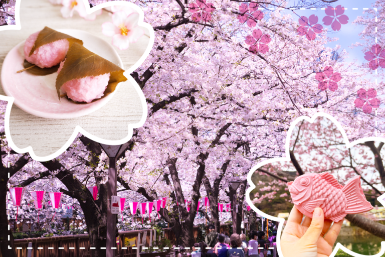 Cherry Blossom Festival Japan 2026: The Ultimate Sakura & Hanami Guide ...